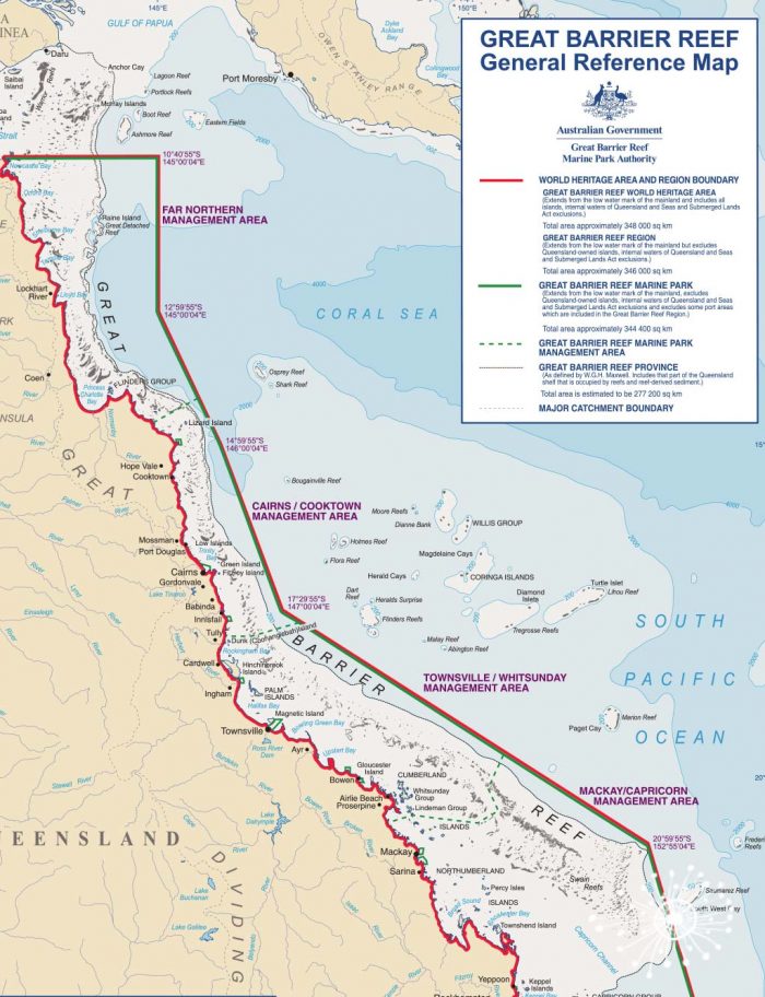 Cairns Reef Tours | Outer Reef tours |Cadaghi Private Tours